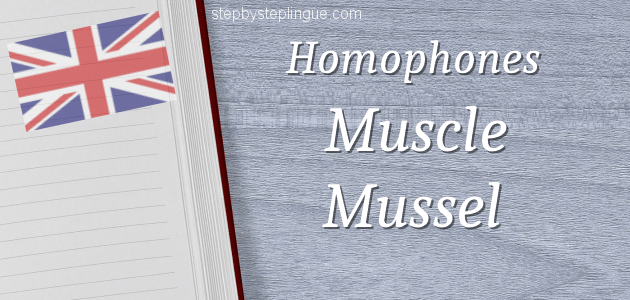 Homophones: Muscle e Mussel - Step by Step Lingue