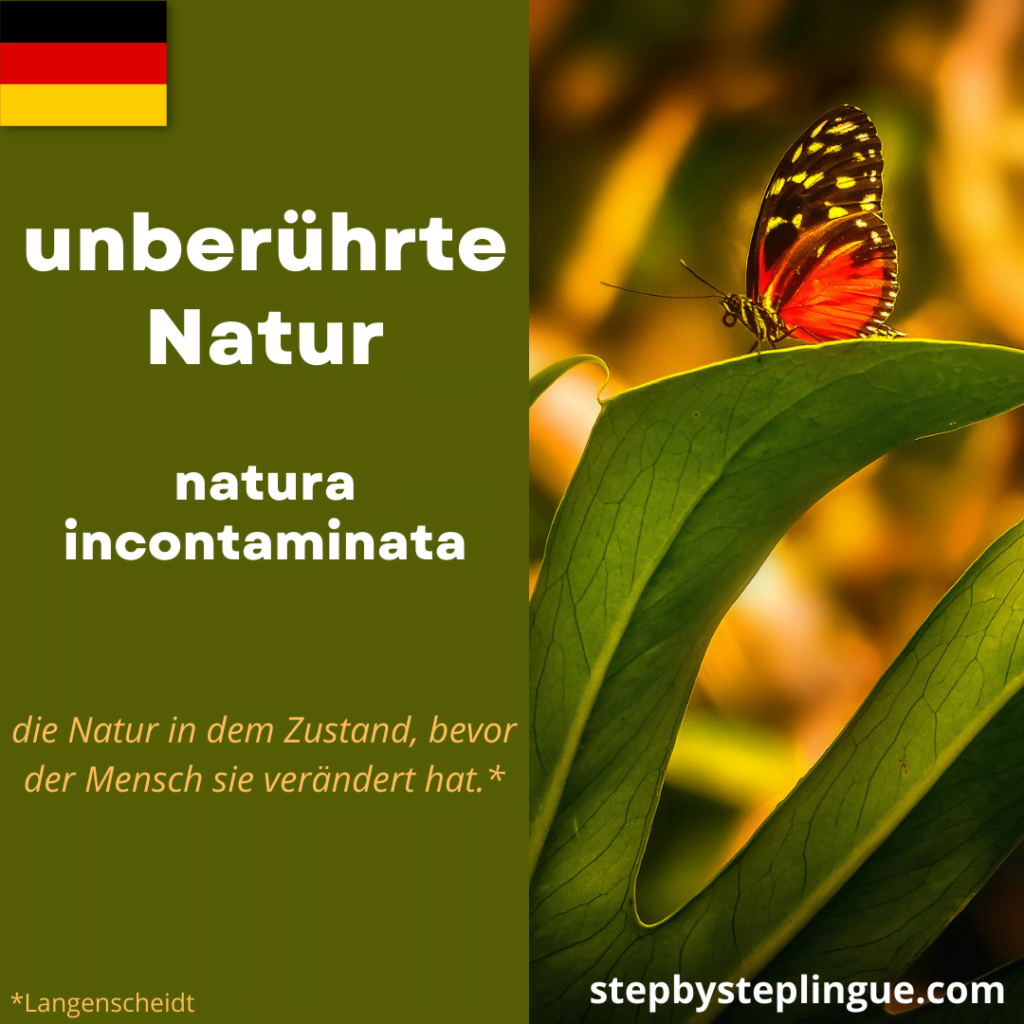 Lesen: Wintersport contra Natur - Step by Step Lingue