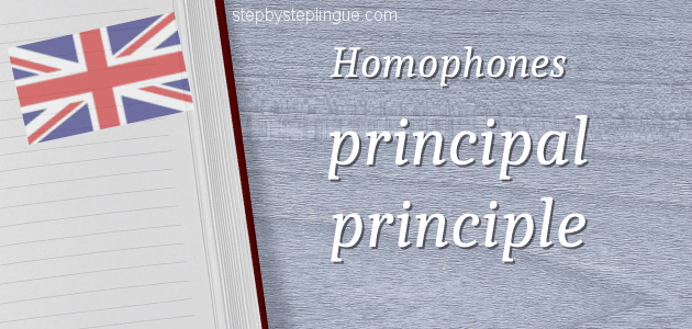 Homophones: Principle e principal - Step by Step Lingue